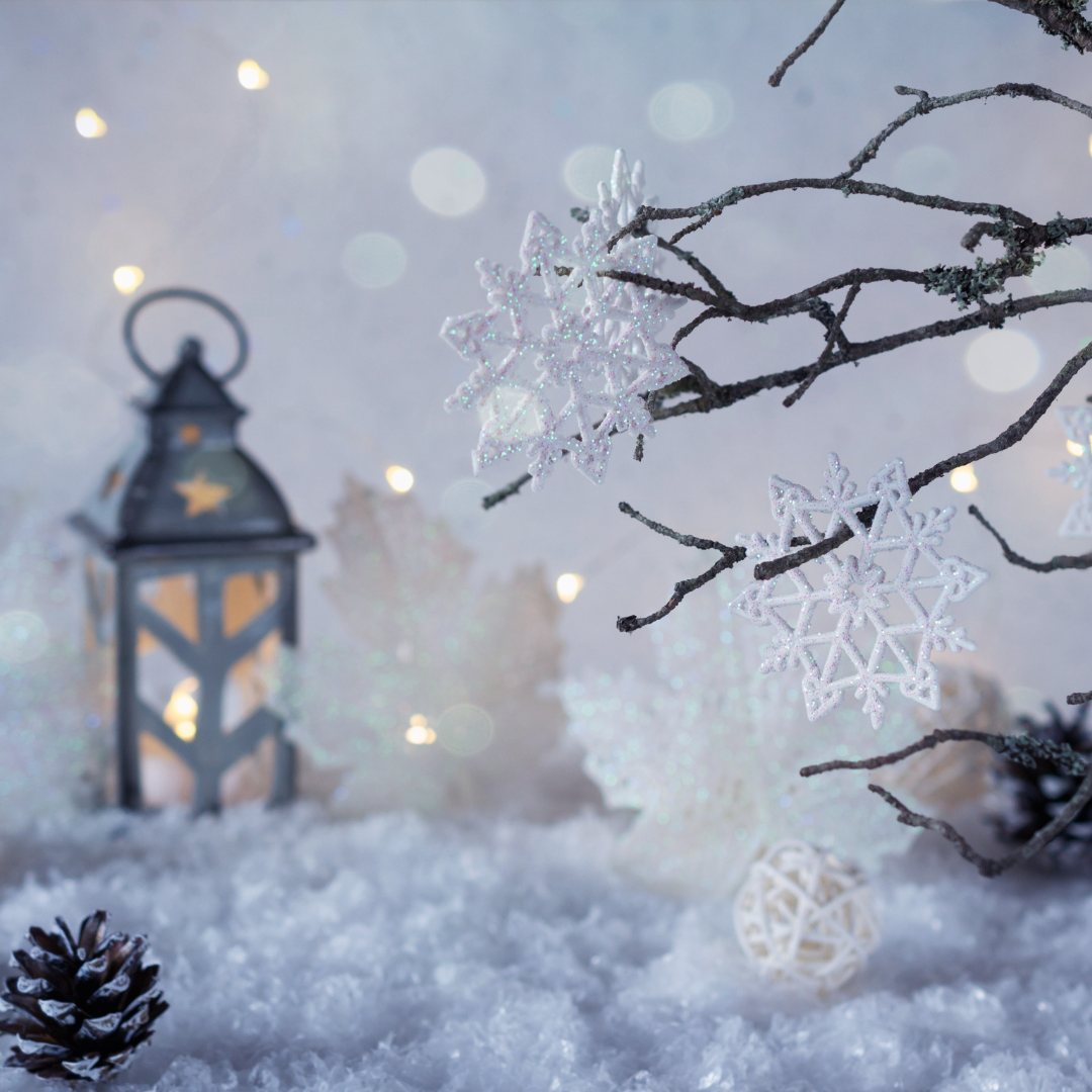 "The Ultimate Guide to Transforming Your Backyard into a Party – RaveLight